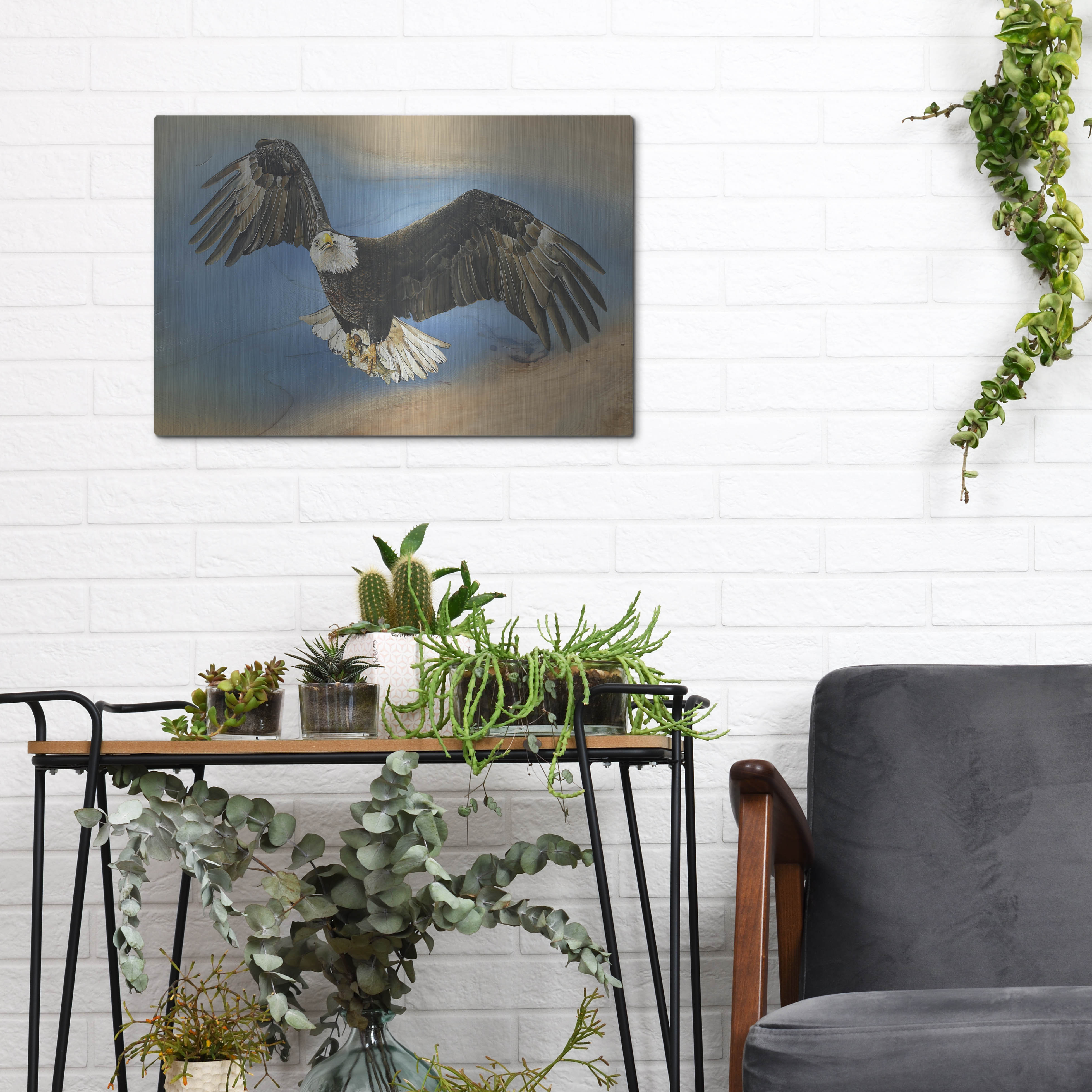 Millwood Pines 'Soaring Bald Eagle Version 2' by Jim Brune Metal Wall Art, 16" x 12" | Wayfair
